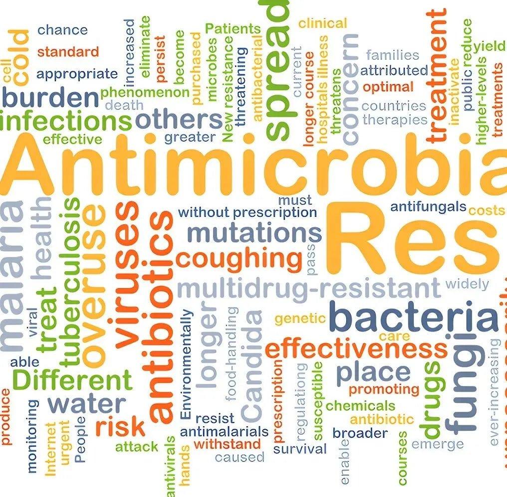 What Is Antimicrobial Treatment? Benefits & Uses Explained